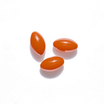 [Rx] ACNOIN Isotretinoin 10mg (Box of 30s) – DMD Skin Sciences